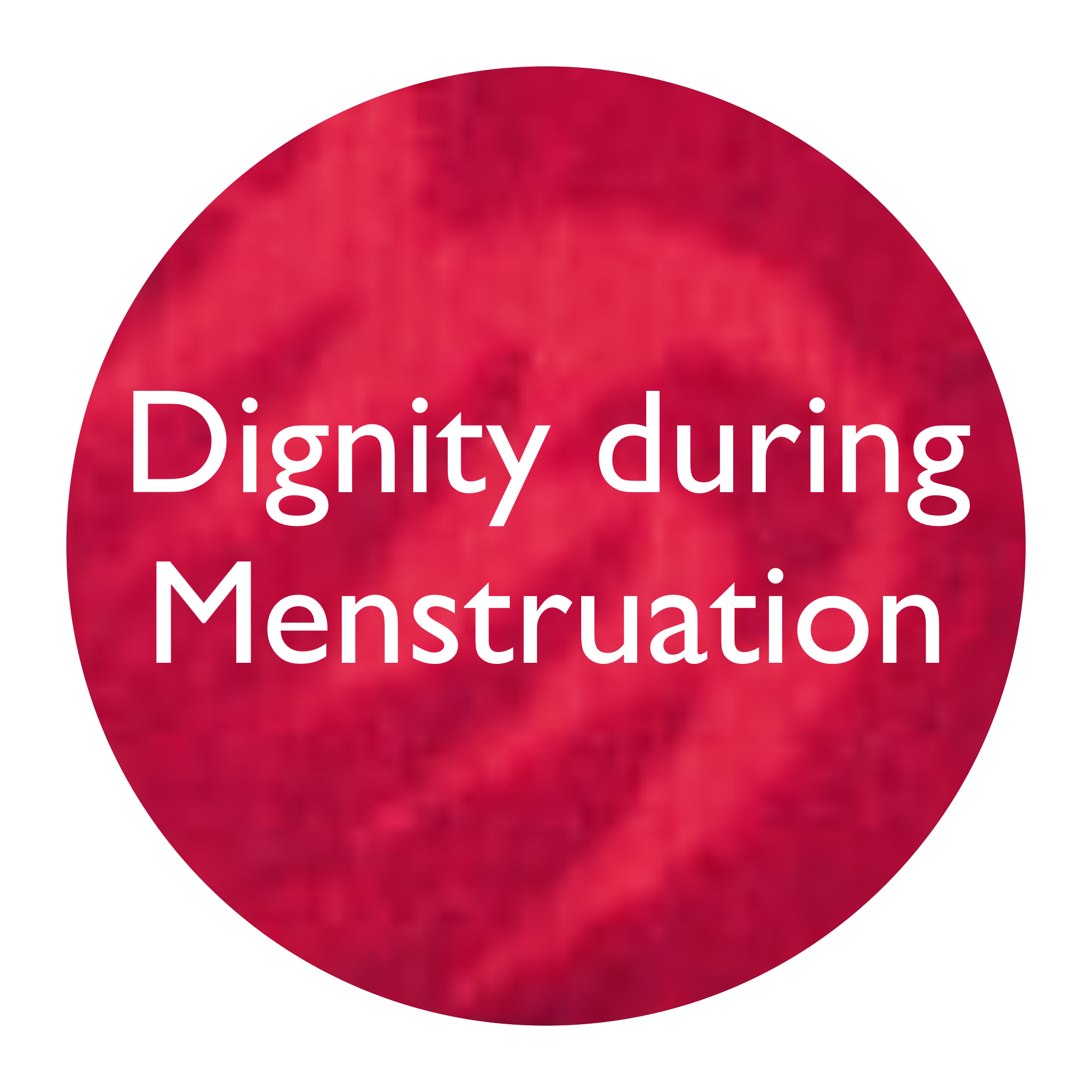 Dignity and Menstruation – The world of accessible toilets